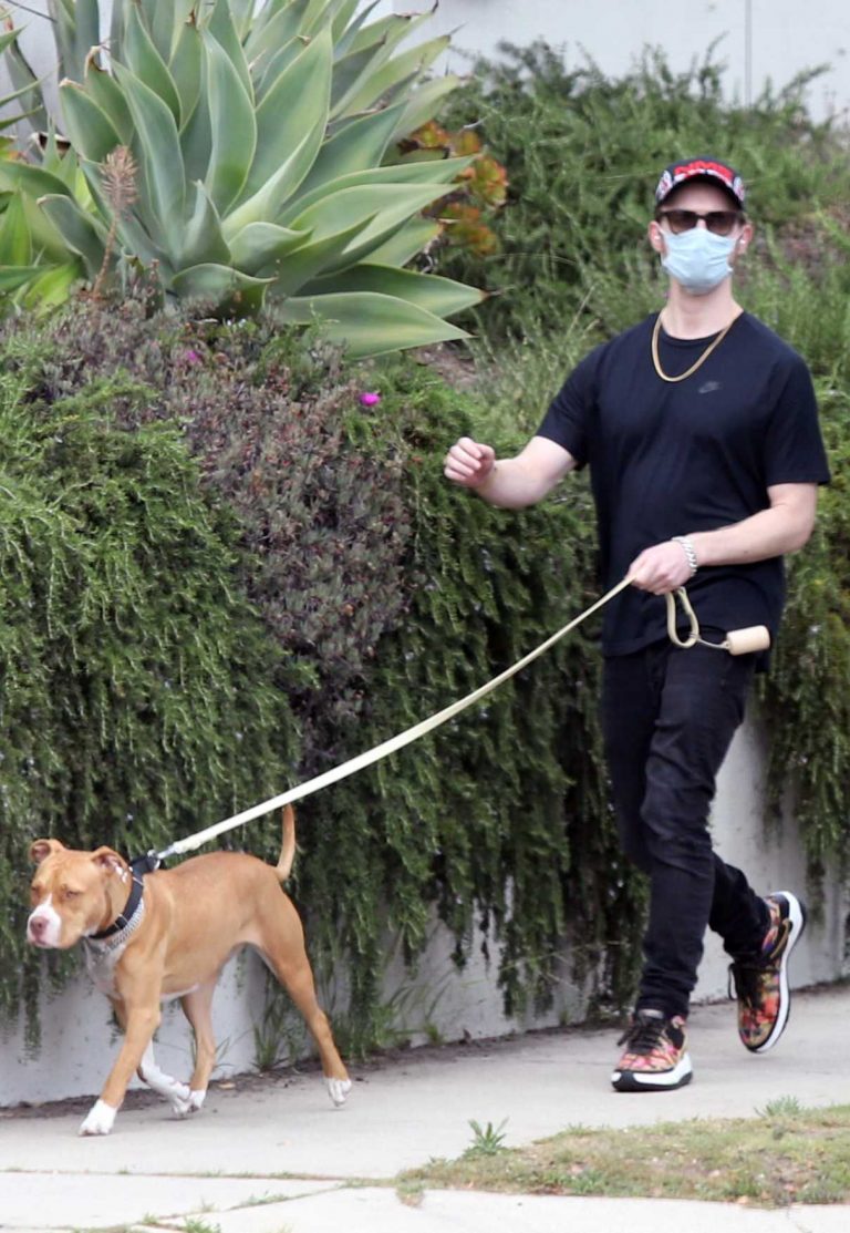 Finneas O’Connell in a Protective Mask Walks His Dog Out in Los Angeles ...