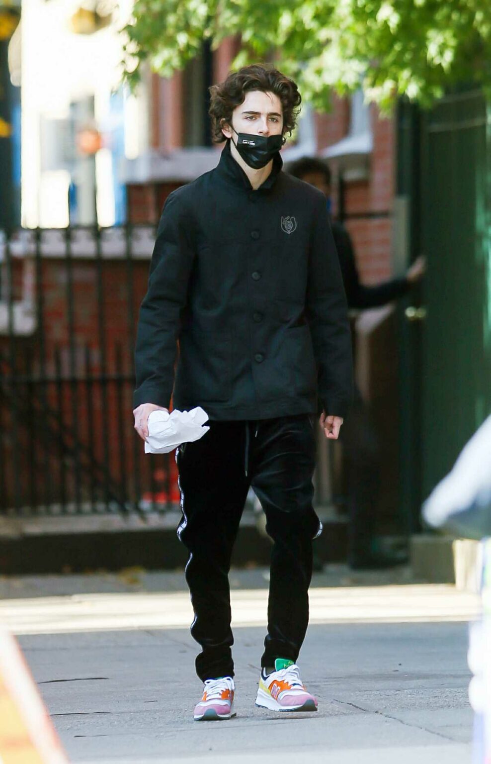 Timothee Chalamet in a Black Protective Mask Was Seen Out in New York ...