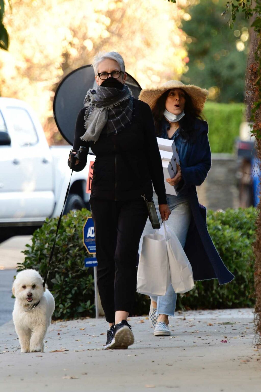 Jamie Lee Curtis in a Black Outfit Walks Her Dog in Brentwood 12/20 ...